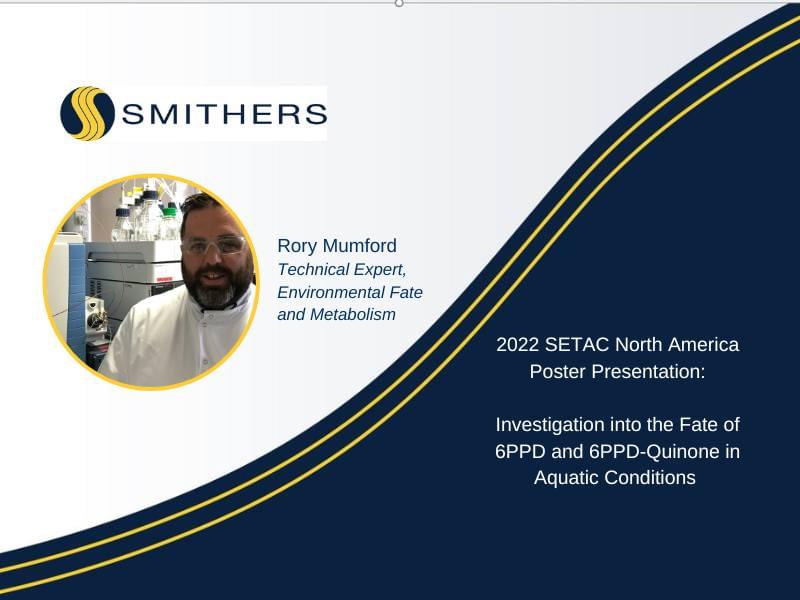 Investigation into the Fate of 6PPD and 6PPD-Quinone in Aquatic ...