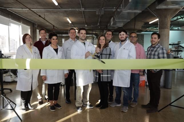 Smithers Enters the Illinois Cannabis Testing Market With the ...