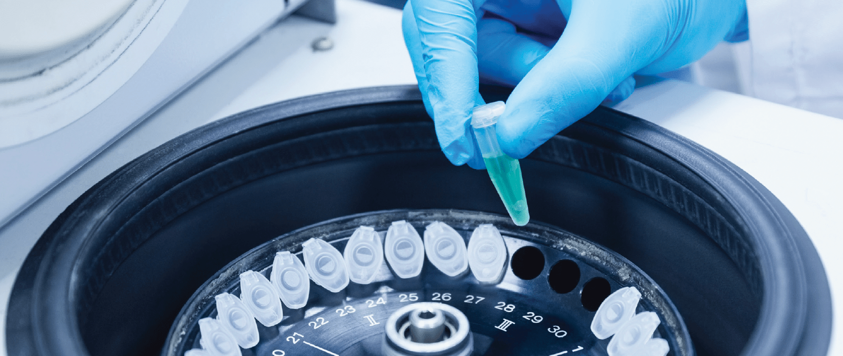 USP , USP and BPOG Extractables Protocol - Reviewing Single Use ...