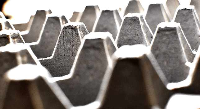 Home | Sustainability in Packaging